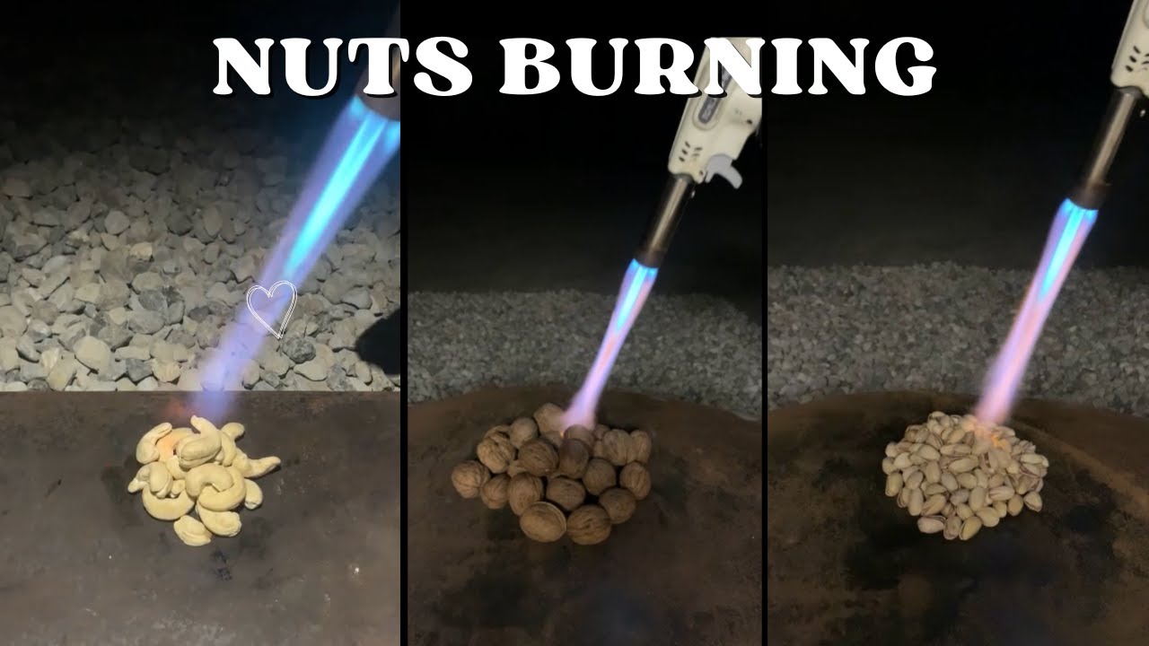 4 Amazing Nut Burning Experiments #burning #fireflame #experiment #satisfying #asmr - YouTube