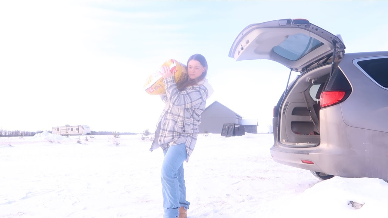 prepping for a massive winter storm on the homestead | Grocery shopping ...