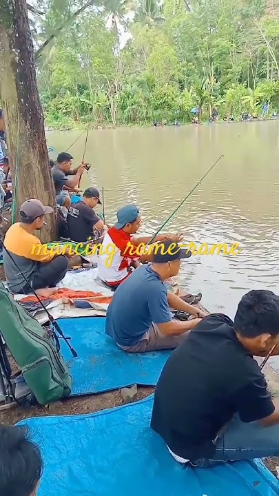mancing rame-rame #mancing #mancingborongan #mancingkolam #mancingborongankolam - YouTube