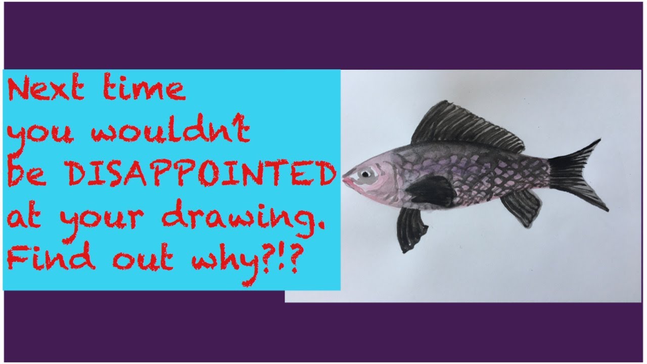 How to draw a realistic fish | Easy drawing | step by step | Zair - YouTube