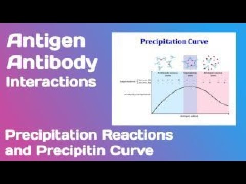 Antigen Antibody interactions:- Precipitation Reactions and Precipitin ...