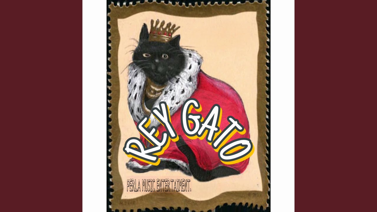 REY GATO (feat. FERNANDO NH) - YouTube