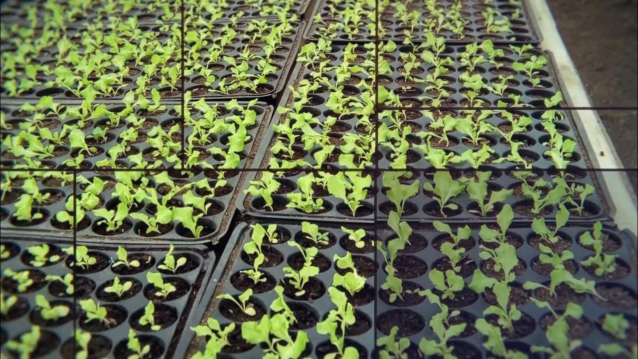 -𝔸 𝔻𝕖𝕔𝕒𝕕𝕖 𝕠𝕗 ℙ𝕒𝕚𝕟 𝕒𝕟𝕕 𝕊𝕦𝕗𝕗𝕖𝕣𝕚𝕟𝕘 𝕥𝕙𝕒𝕥 𝕓𝕣𝕚𝕟𝕘 𝕗𝕠𝕣𝕥𝕙 ℙ𝕒𝕥𝕚𝕖𝕟𝕔𝕖 𝕒𝕟𝕕 ...