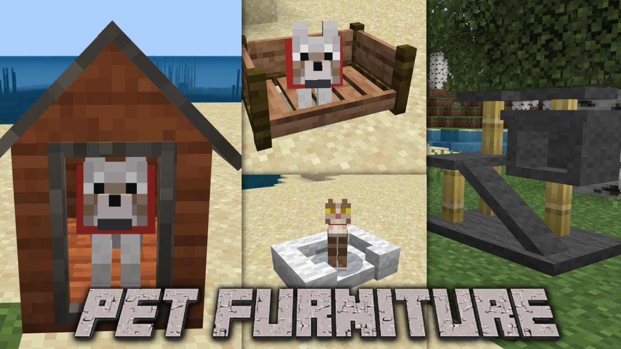 Pet Furniture Addon - YouTube