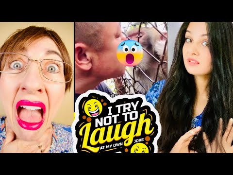 If You Can Watch This Without Laughing, You’re Stronger Than Me! try ...