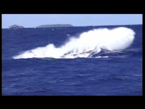 Gil Arbel "For The National Geographic channel" - YouTube