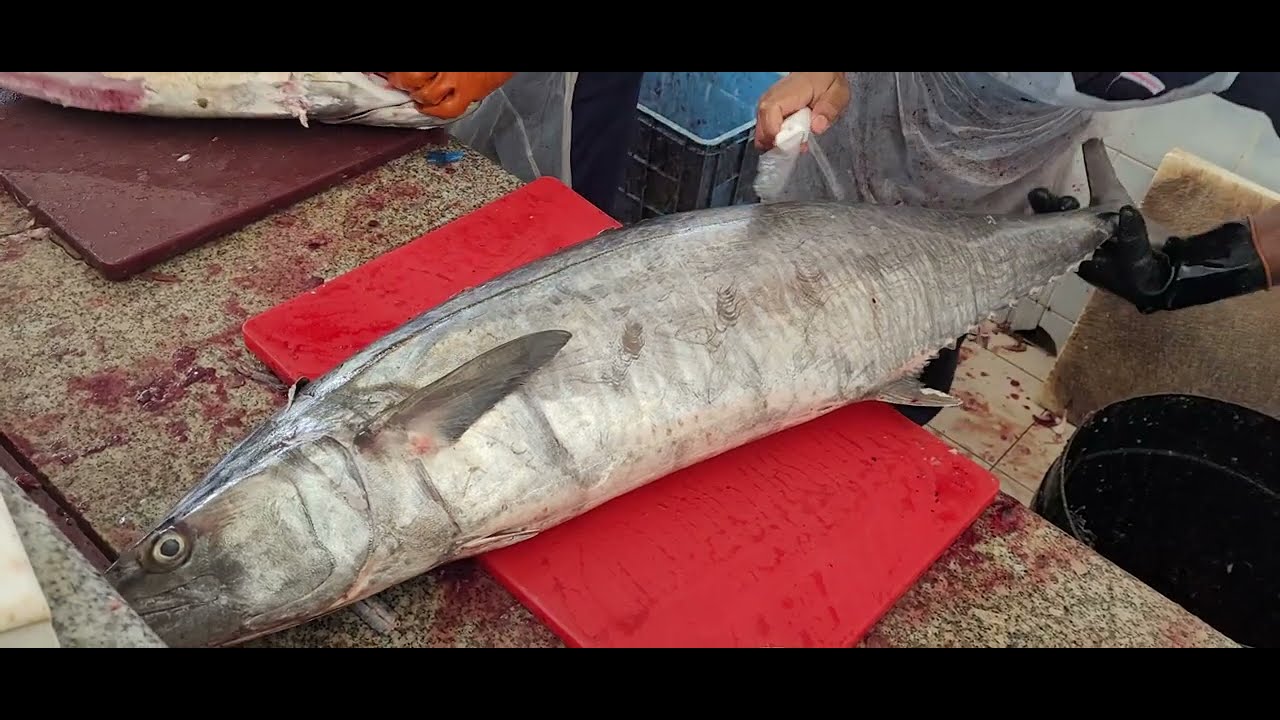 Large King Fish Beautiful Filleting।। 15 KG/$150 Big King Fish Cutting ...