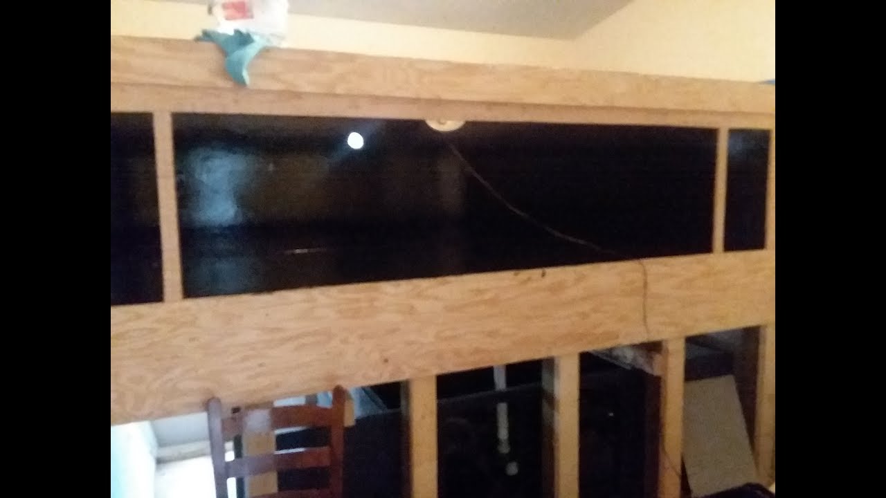 DIY Plywood 10ft x 5 1/2ft x 2 1/2ft Aquarium ( 3rd coat ) - YouTube