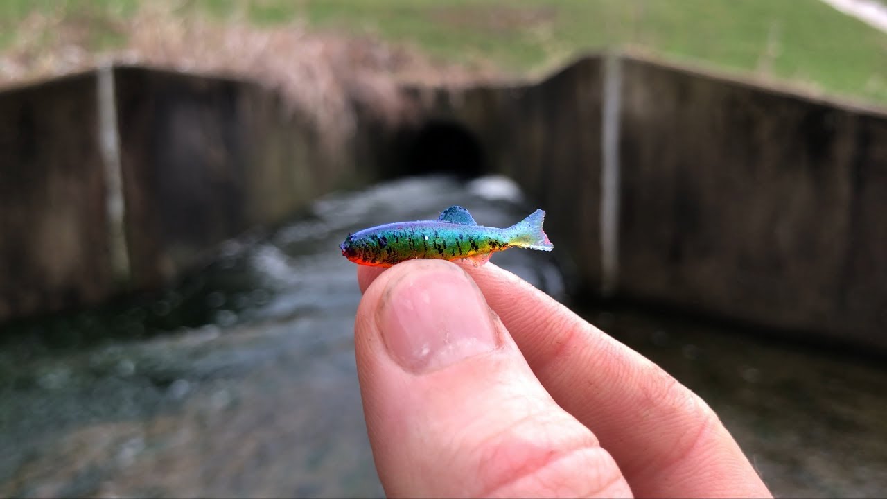 This Tiny Lure CHALLENGE had Surprising Results... - YouTube