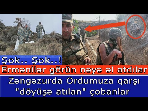 Ermeniler gorun neye el atdilar: Zengezurda ordumuza qarsi cobanlar doyusur