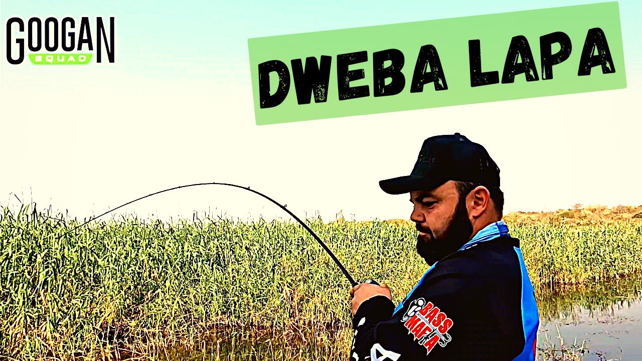 Dweba Lapa in Summer - YouTube