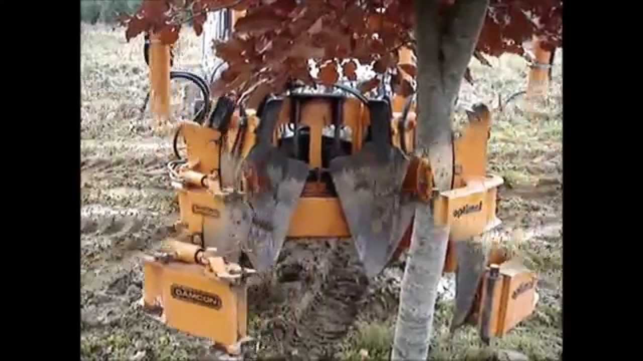 Optimal tree spade - YouTube