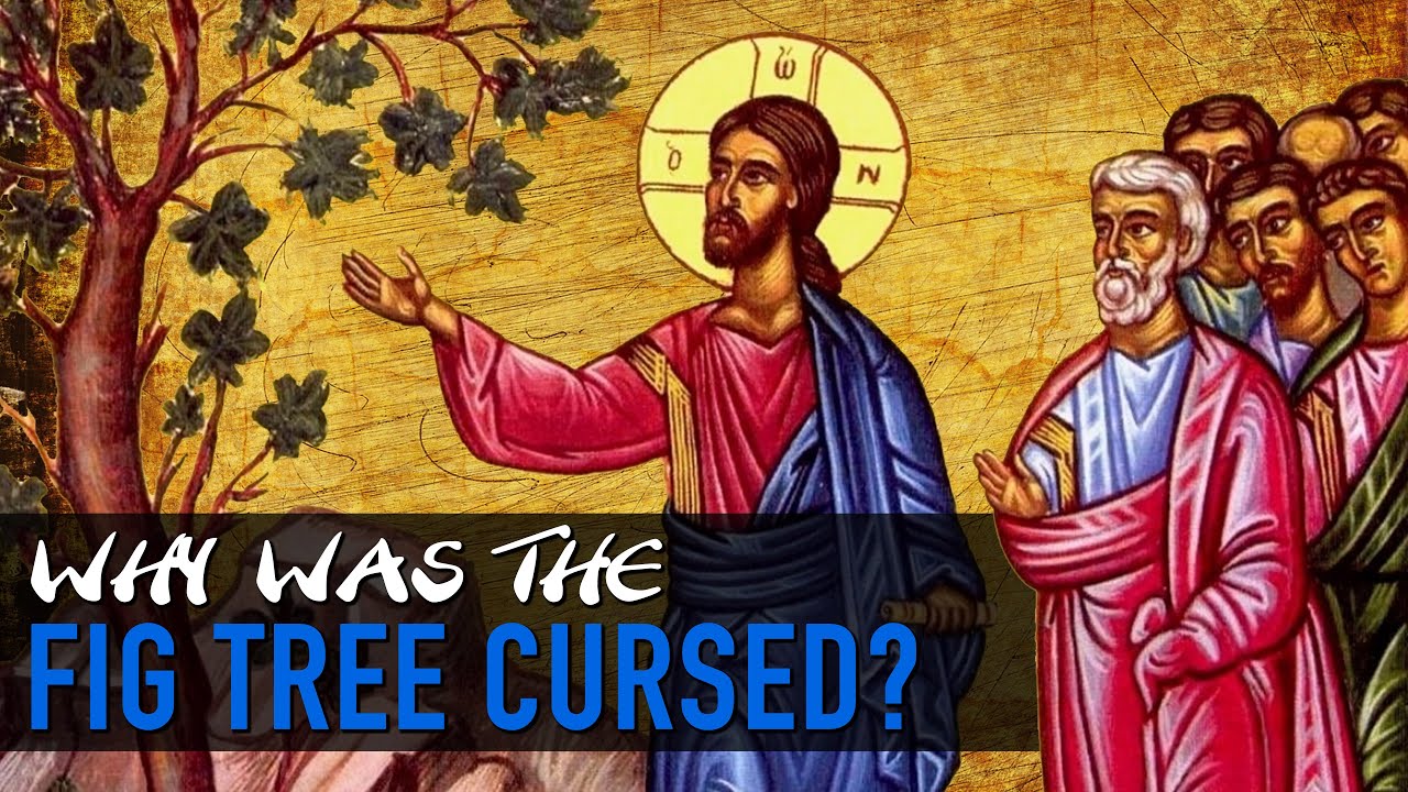 Why Did Jesus Curse the Fig Tree? - YouTube