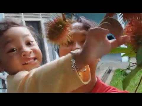 BAYI PANEN RAMBUTAN - YouTube