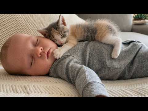 The Sweetest Baby & Kitten Bond You’ll See Today 🥹