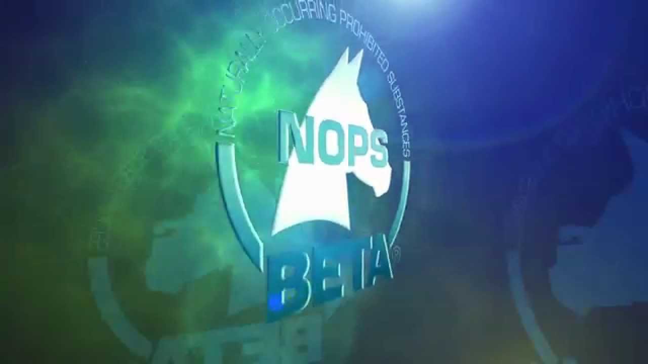Logo Animation | BETA NOPS V2 - YouTube
