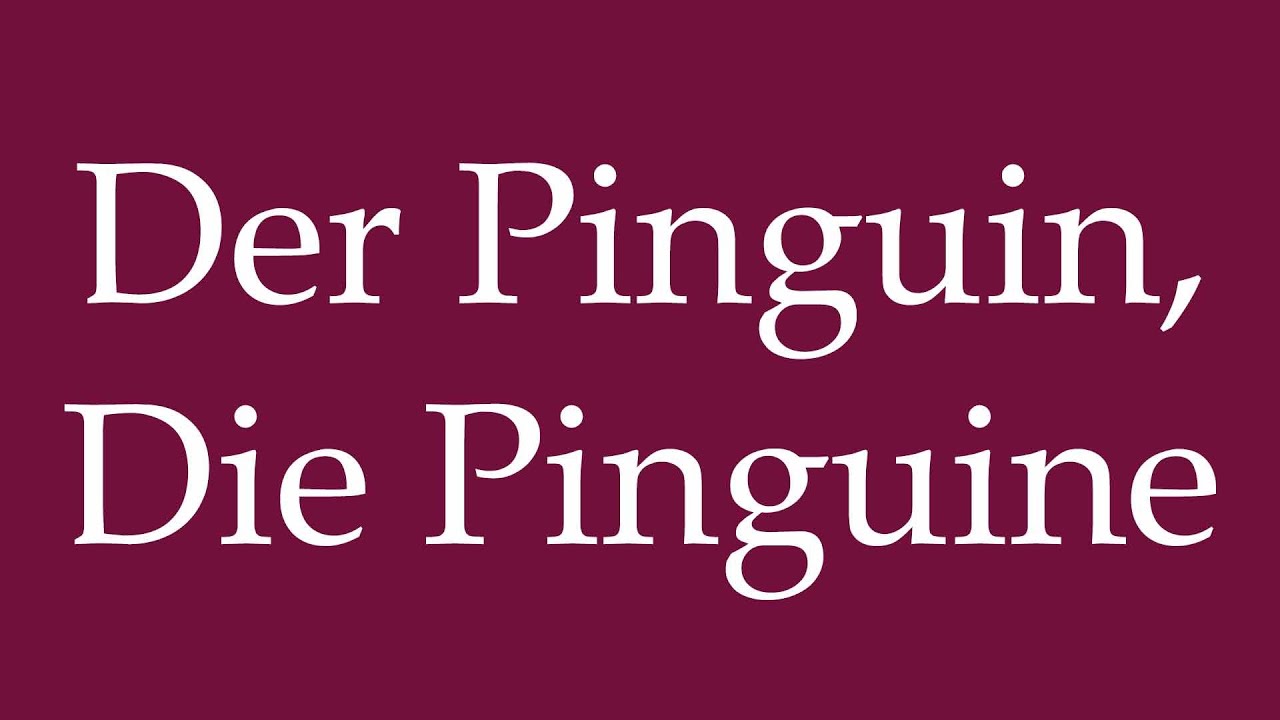 How to Pronounce ''Der Pinguin, Die Pinguine'' Correctly in German ...
