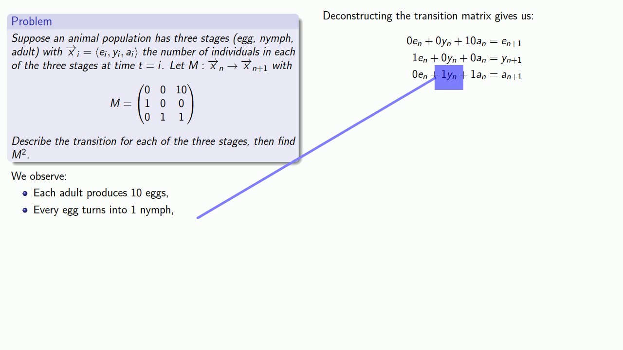 Solution: Leslie Models, Part 2 - YouTube