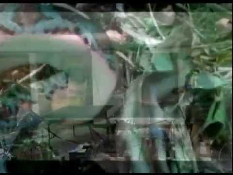 snakehole - hot tongue