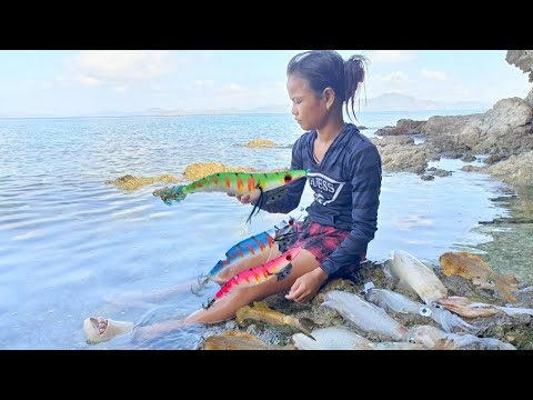 ITO! ANG MABISANG PAMAIN SA MGA PUSIT | MAGKAPATID TV