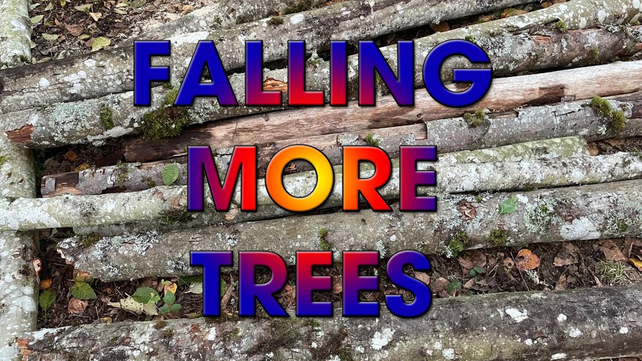 Spent the day falling more trees. Caused a widow maker and got one ...