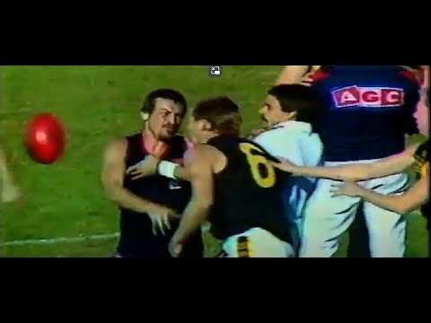 Port Adelaide VS Tigers AFL Fight SANFL Football Fight AFL Melee - YouTube