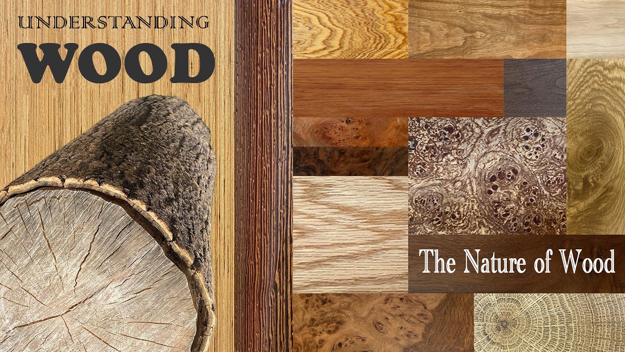 Understanding Wood - The Nature, Names, and Appearances of Wood - YouTube