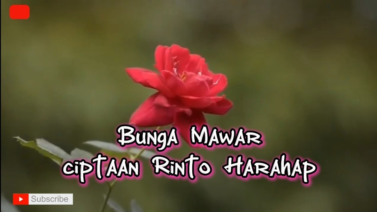 Lirik dan chord lagu Bunga Mawar ciptaan Rinto Harahap ( The Mercys ...