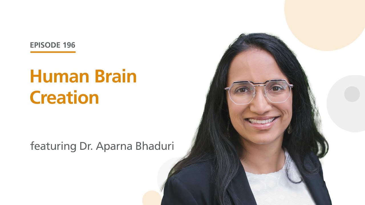Human‌ ‌Brain‌ ‌Creation‌ featuring Dr. Aparna Bhaduri | The Stem Cell ...