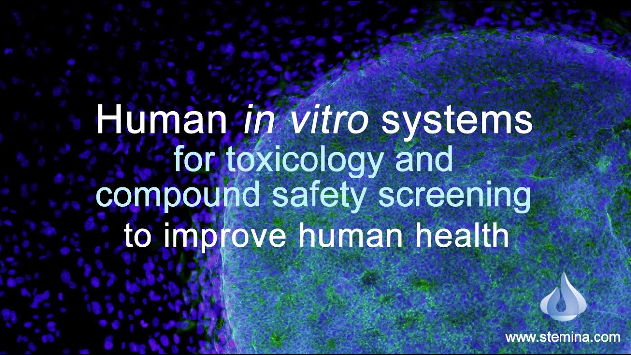Human in vitro Systems for Toxicology and Compound Safety Screening to ...
