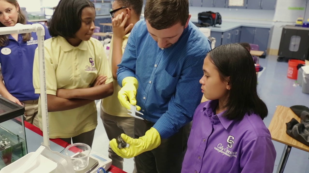 National Aquarium: Terrapins in the Classroom - YouTube
