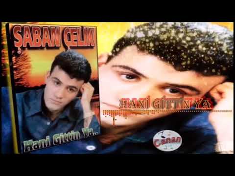 Şaban Çelik - Hani Gittin Ya (Official Audio)