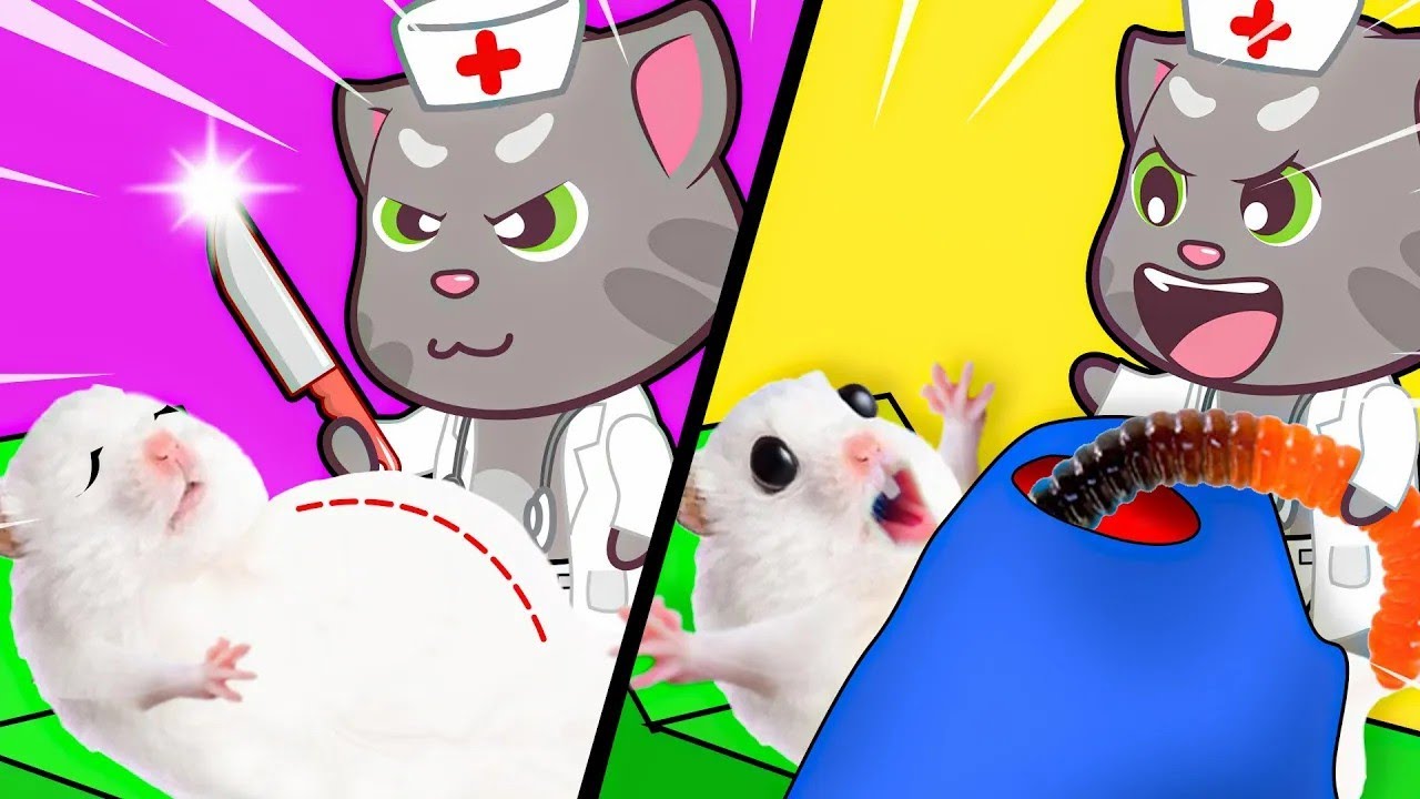 Doctor Taking Tom Recue Hamster - Crazy Hospital Checkup | FUNNY ...