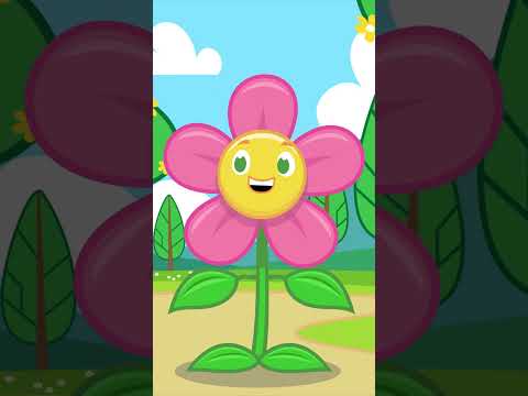 Fatiha Suresi Çocuk Okuyuşu - Fatiha Ezber #çocuk #namazsureleri #shorts