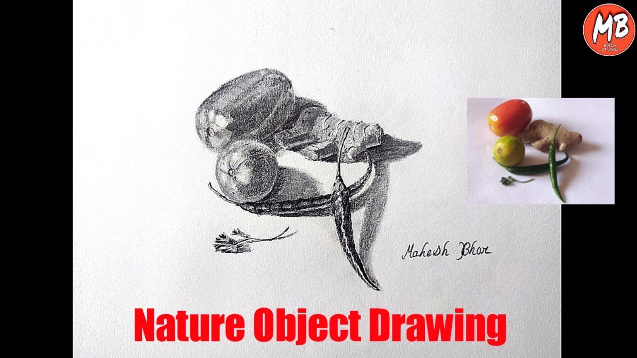 How To Draw Nature Object Drawing - YouTube