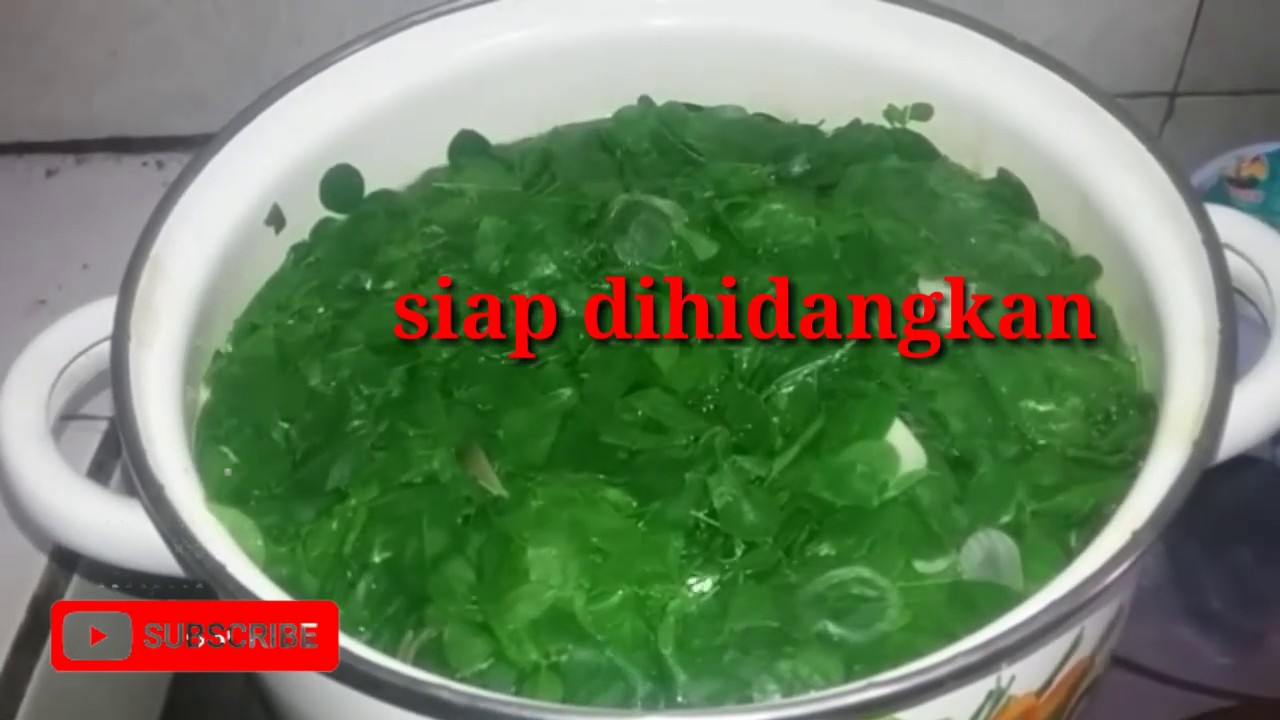 SAYUR DAUN KELOR, SAYUR KAYA MANFAAT - YouTube