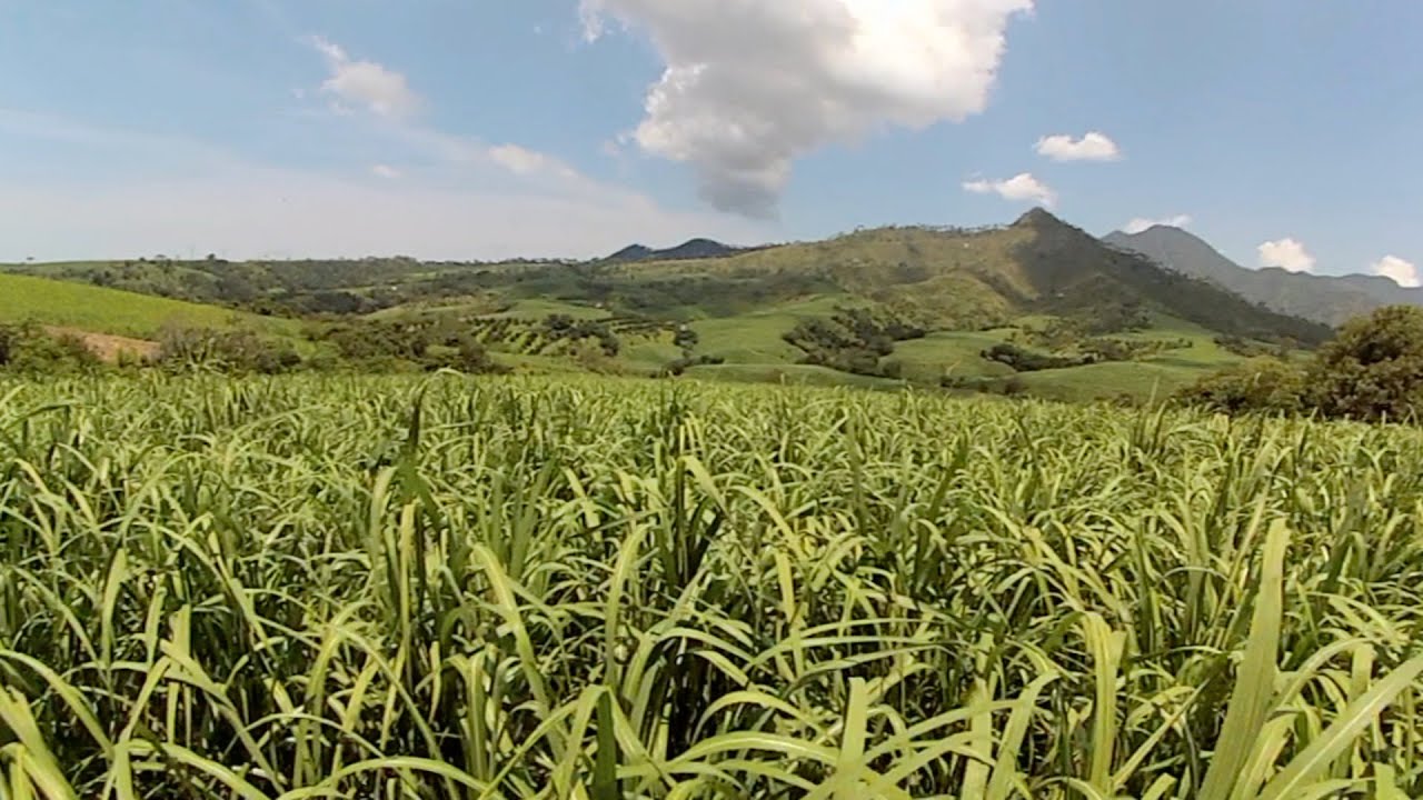 Nayarit Paraíso del Pacífico // Xalisco - YouTube
