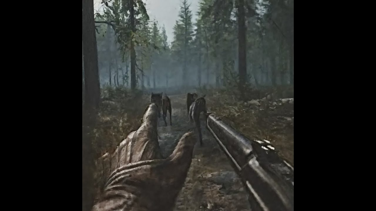 Hunting Down in The Show - YouTube