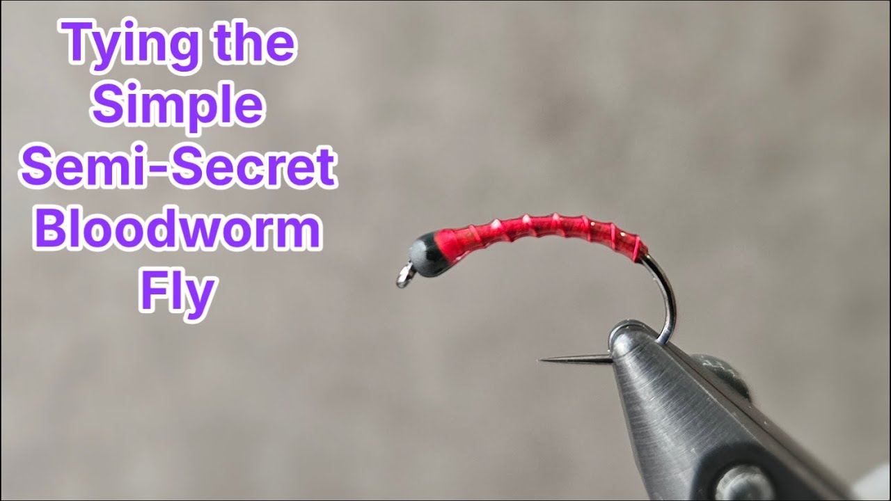 Tying The Simple Semi Secret Bloodworm Fly (Buzzer Larva) - YouTube