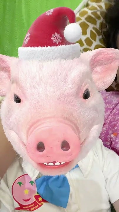 Con heo con cười híp mắt - YouTube