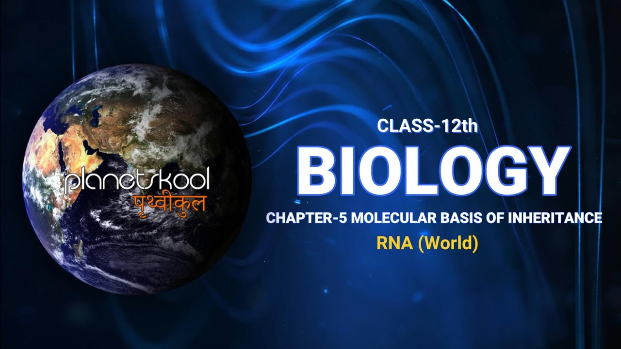 NCERT | Class-12th | Biology | Chapter-5 | Molecular Basis of ...
