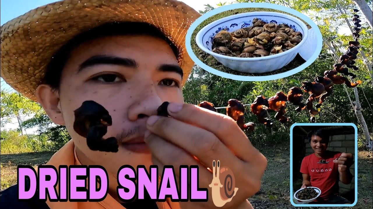 DRIED SNAIL 🐌(TAKLONG / ESCARGOT) | EXPERIMENT COOKING W/ BRO ...