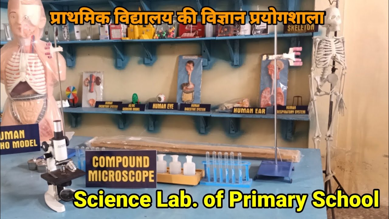 Science lab of Primary School । परिषदीय विद्यालय की विज्ञान प्रयोगशाला ...