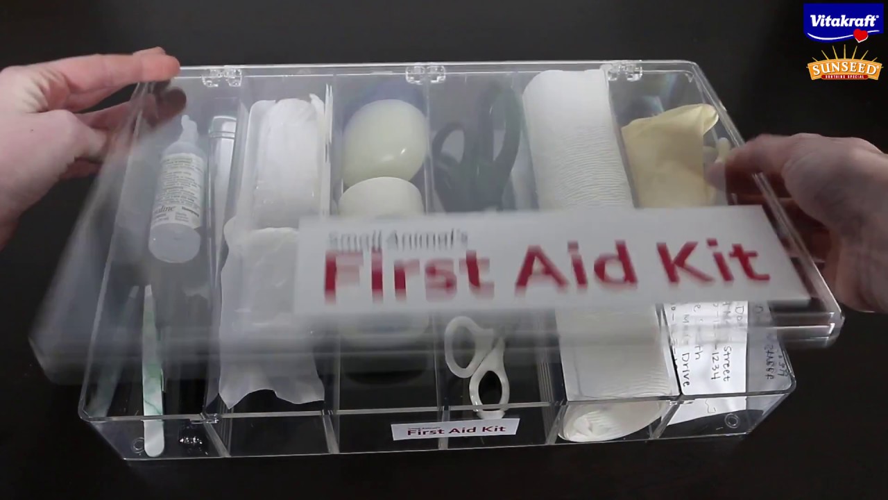 DIY Small Animal First Aid Kit - YouTube
