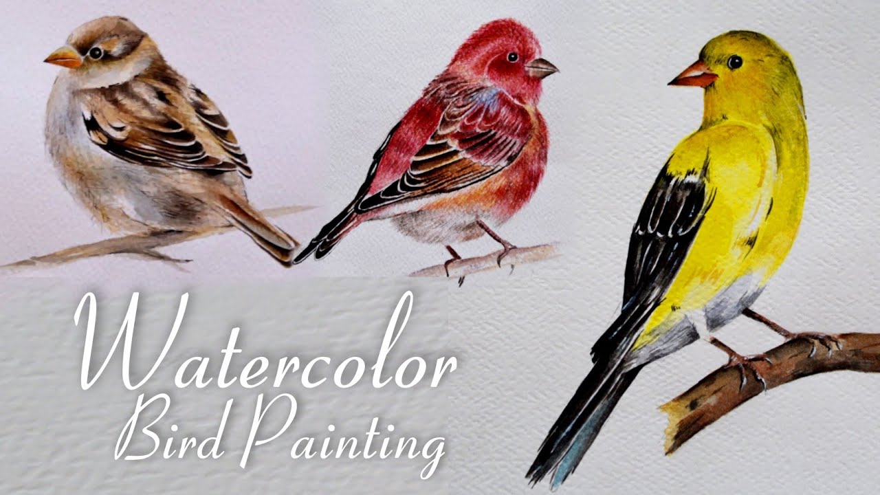 Beautiful bird watercolor painting | Cute realistic bird watercolor ...