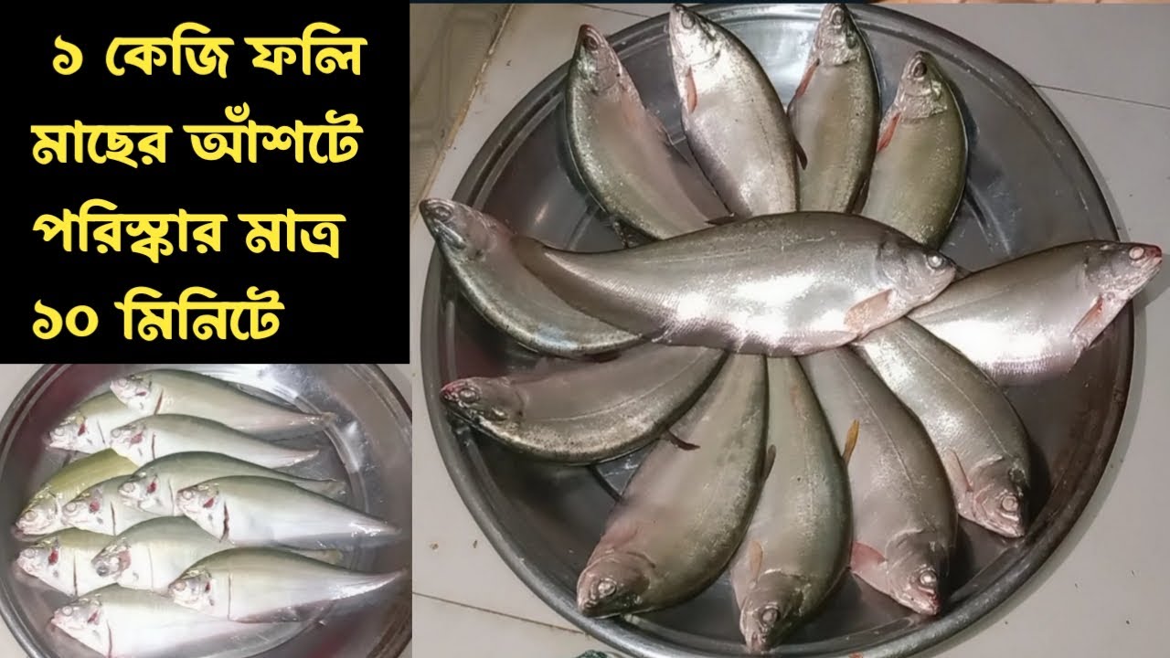 ১ মিনিটে ফলি মাছের ছোট আঁশটে পরিস্কার করুন|ফোলি মাছ কাটিং ও পরিস্কার ...