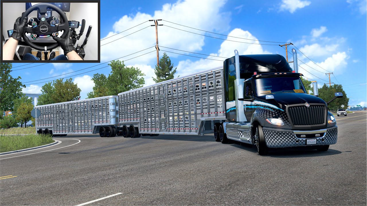 Challenging Double Trailer Livestock Transport - American Truck ...