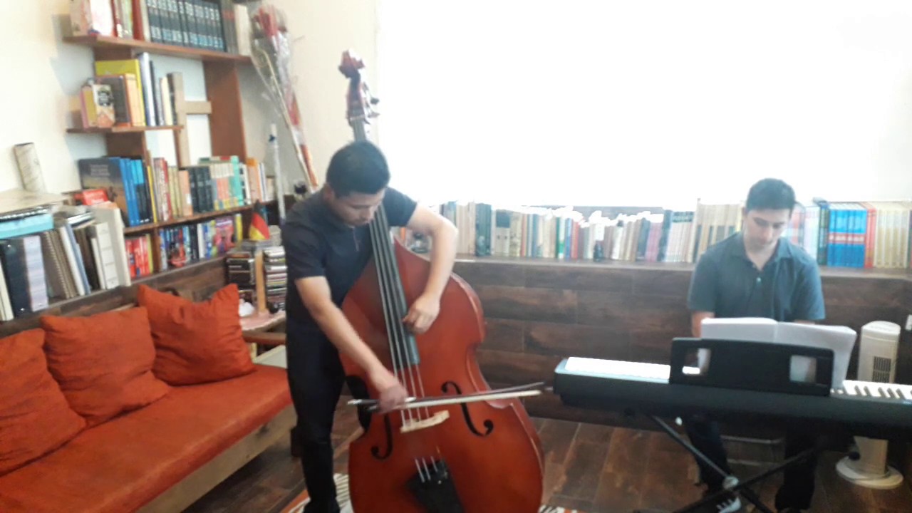 Giovanni Bottesini Double bass Concerto no.2 in b minor 1st mov. - YouTube