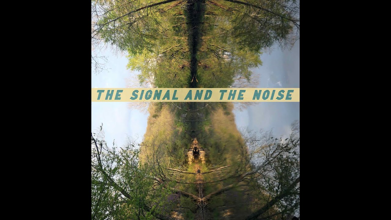 THE SIGNAL AND THE NOISE (lyric video) by Brett Miller - YouTube