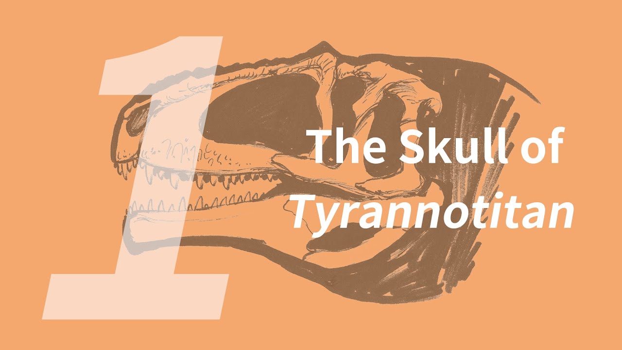 Mateo the Tyrannotitan 1: Skull | Learn to Draw Dinosaurs with ZHAO ...